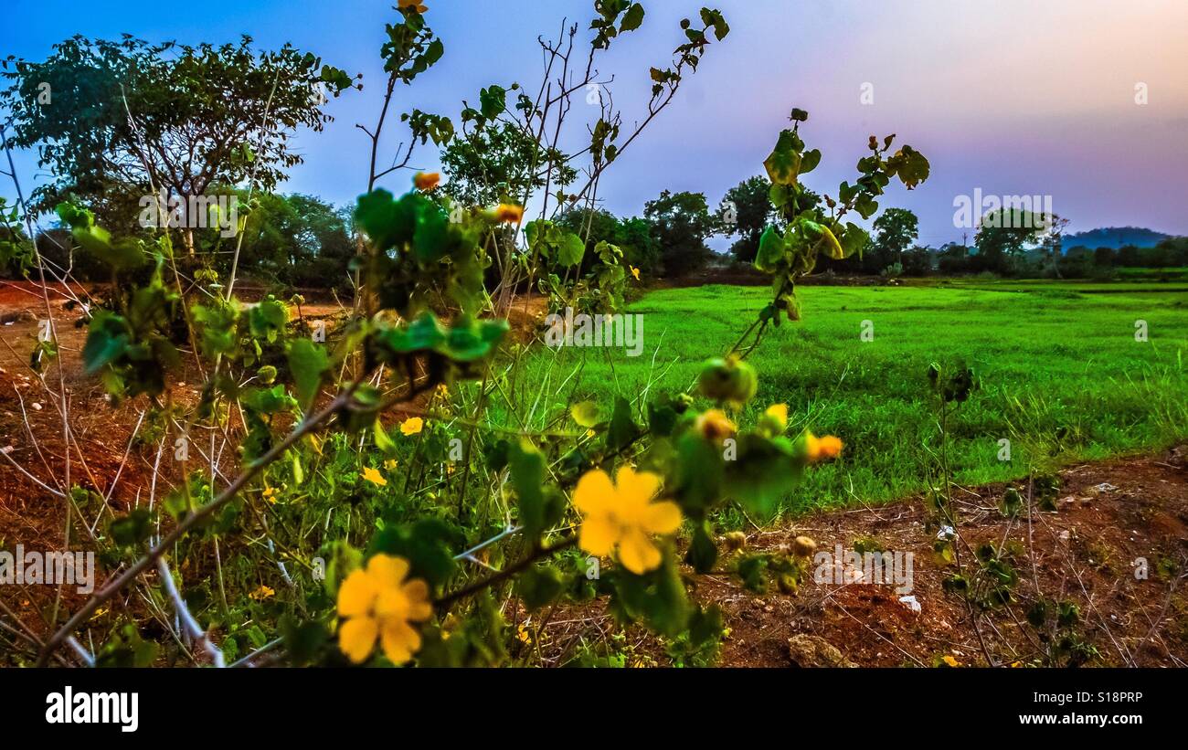 Colourful scenery hi-res stock photography and images - Alamy