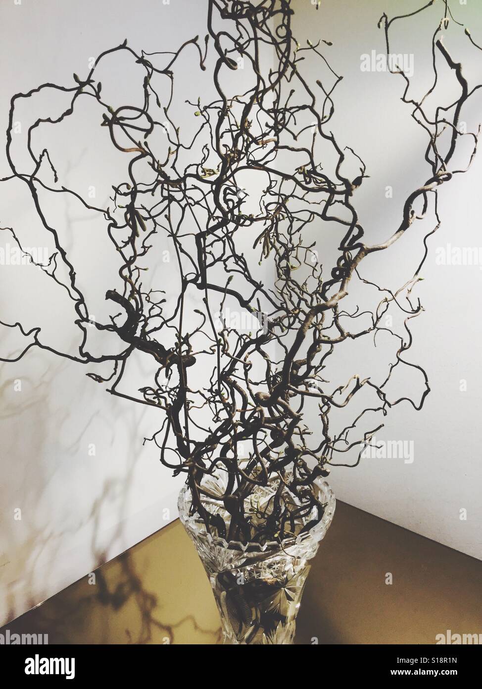 Nature shapes hi-res stock photography and images - Alamy