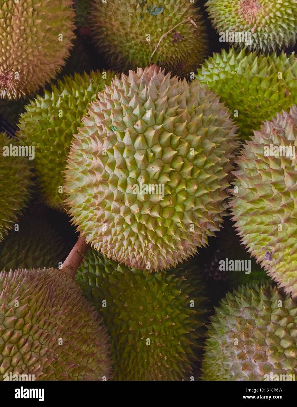 Malaysia and brunei hi-res stock photography and images - Alamy