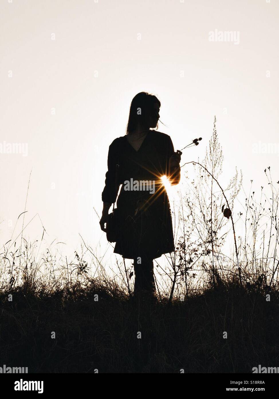 Sunset shadow of girl hi-res stock photography and images - Alamy