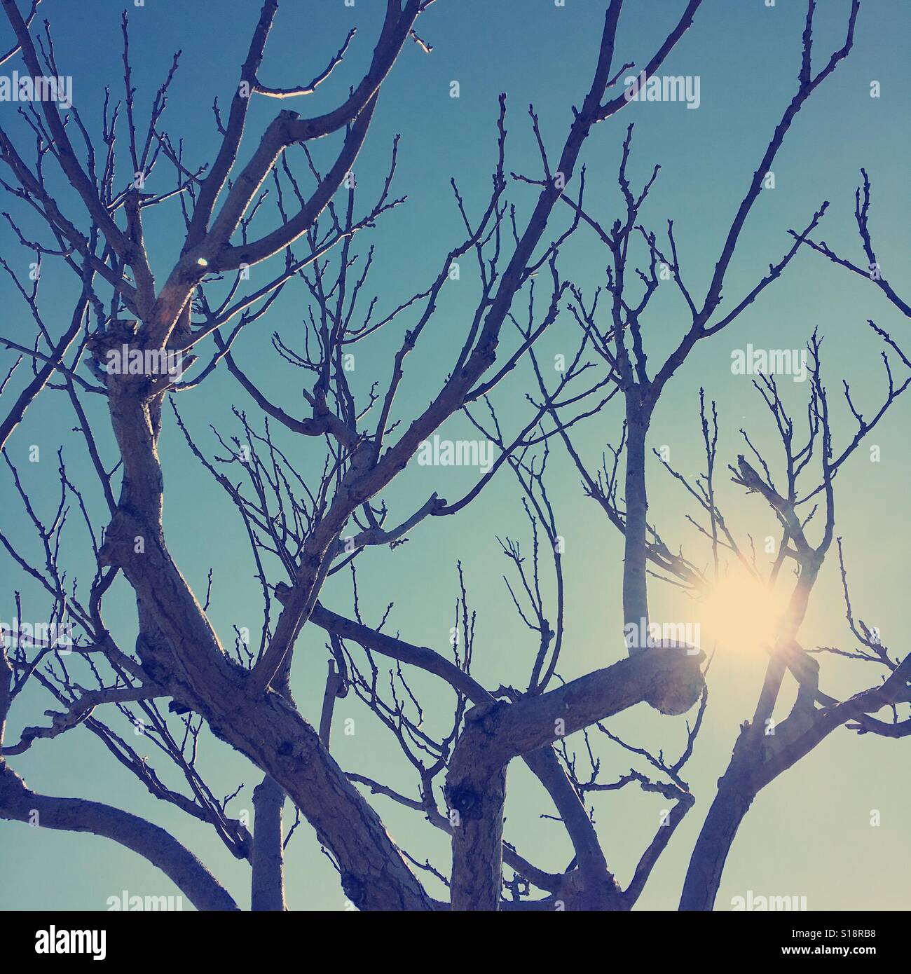 It is Winter 3 Stock Photo - Alamy