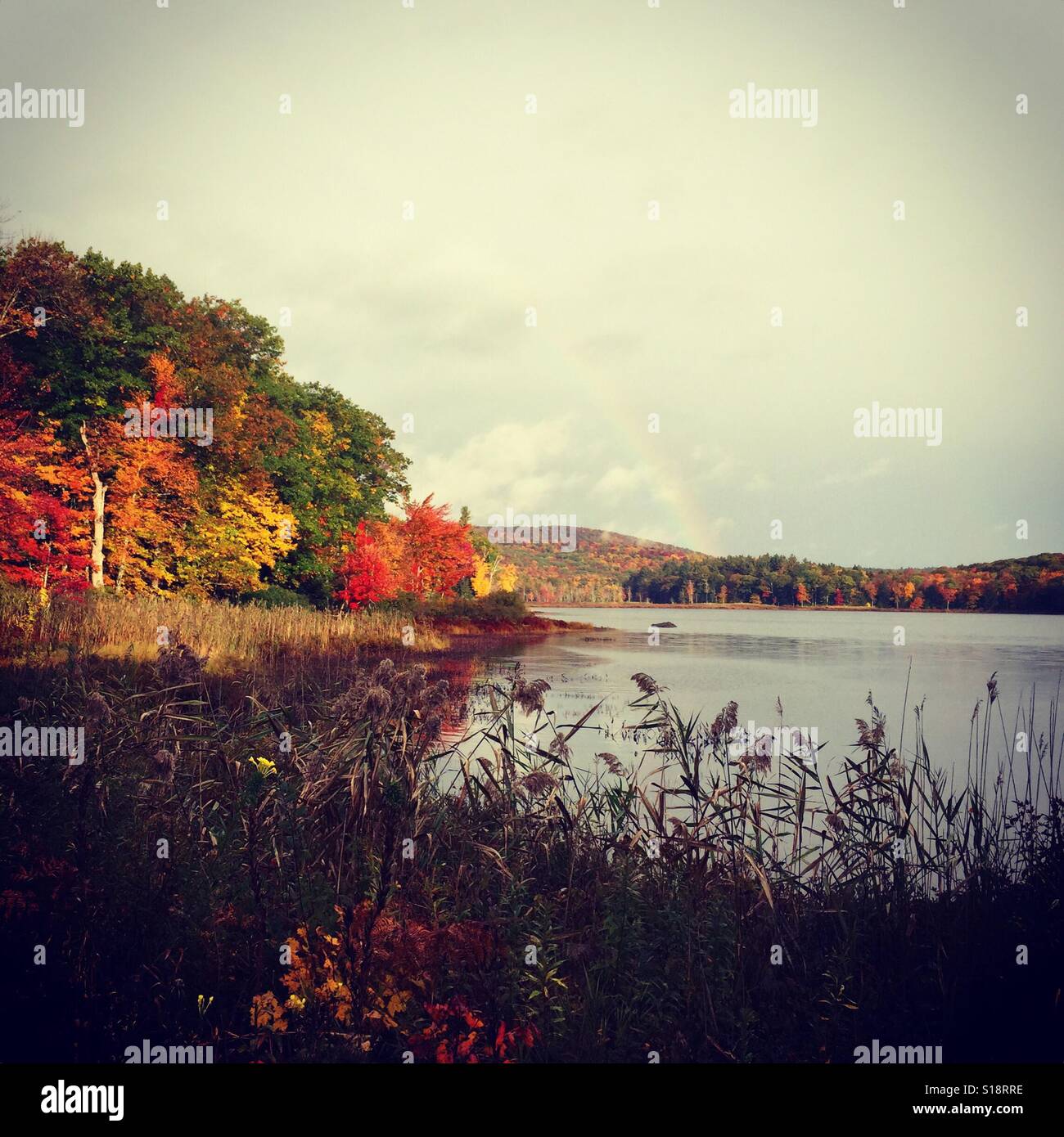 Rainbow pond hi-res stock photography and images - Alamy