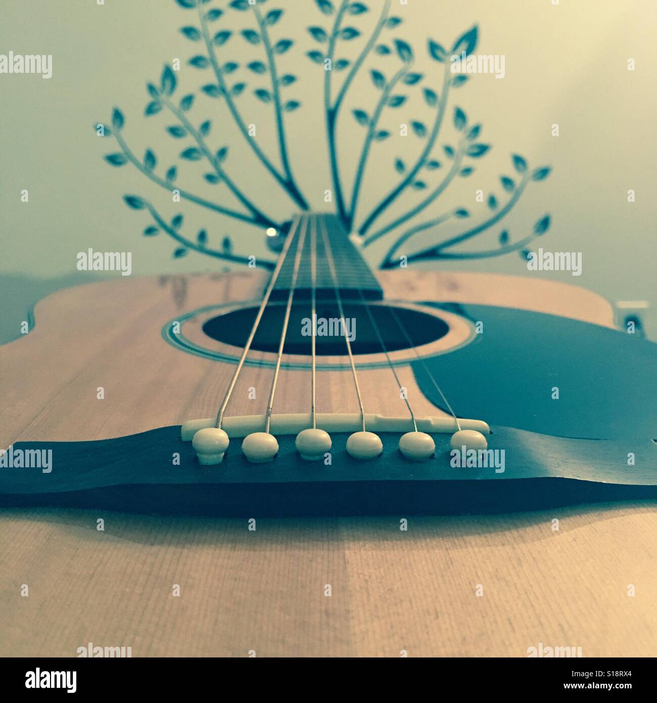 Tree strings hi-res stock photography and images - Alamy