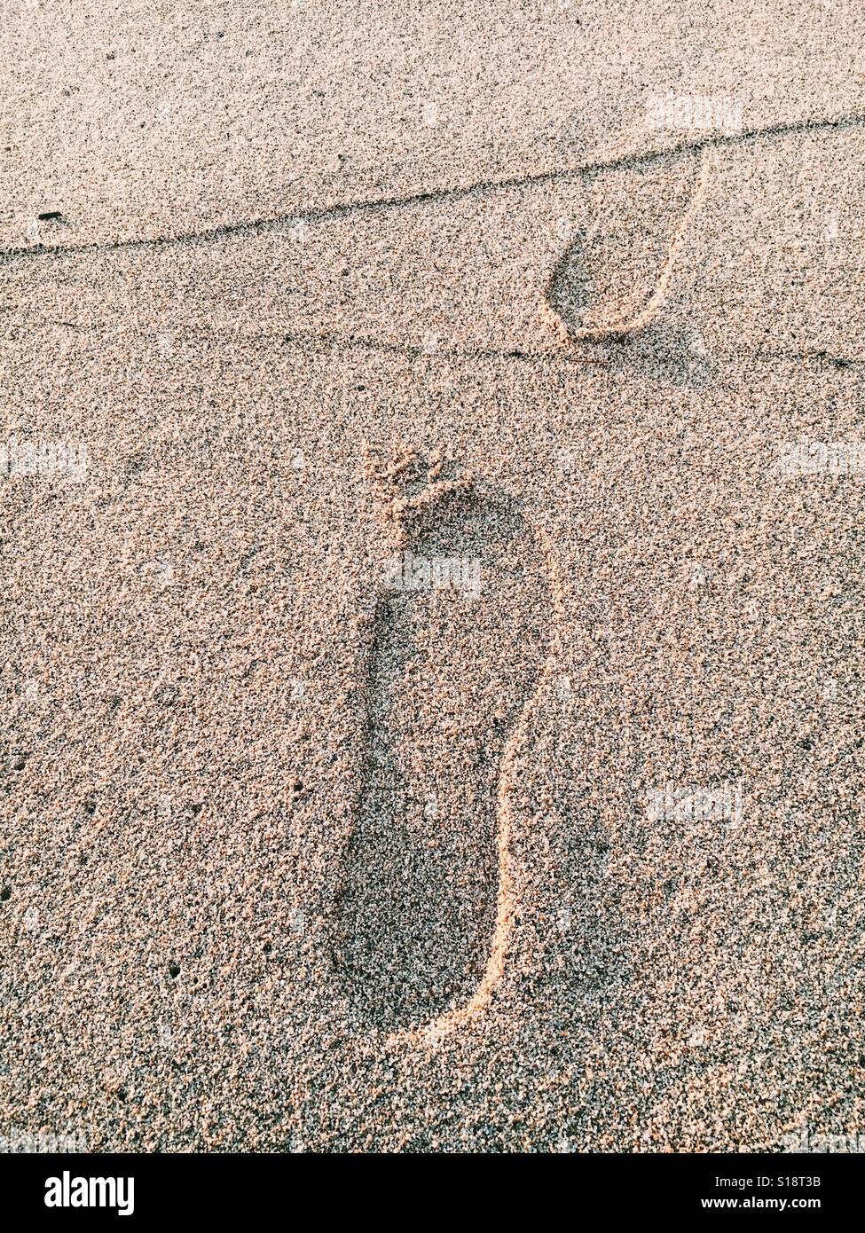 Foot steps in sand Stock Photo - Alamy