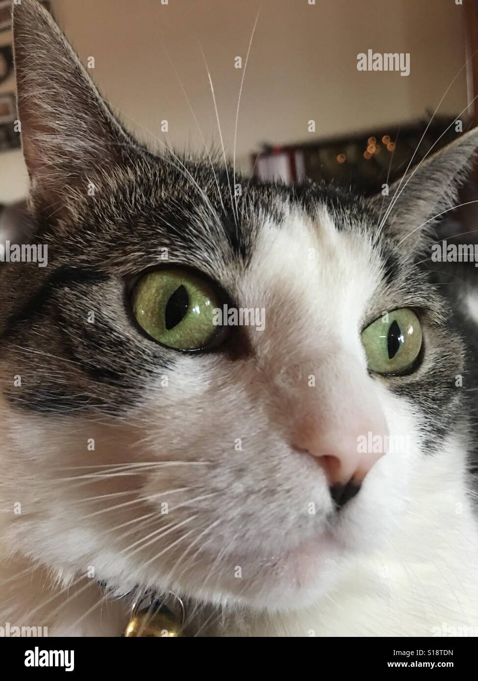 Im cool hi-res stock photography and images - Alamy