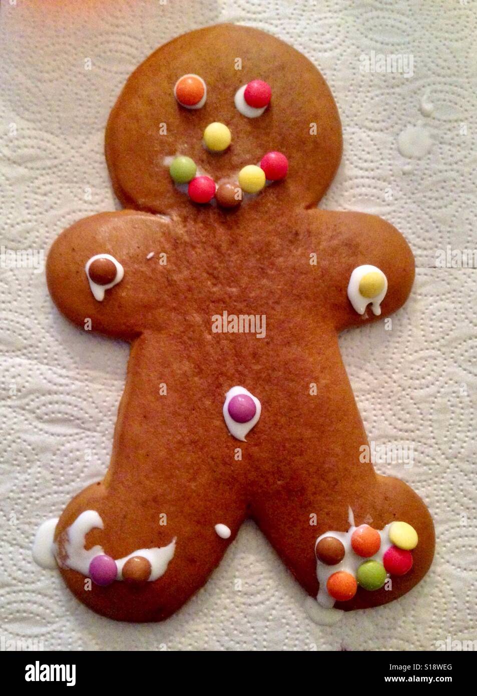 Gingy The Gingerbread Man