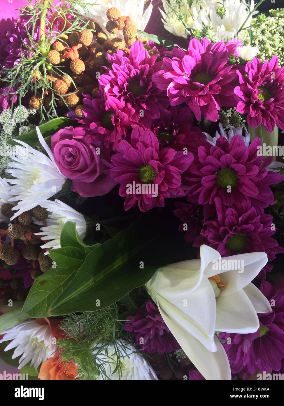 Beautiful bunch of colorful flowers Stock Photo - Alamy