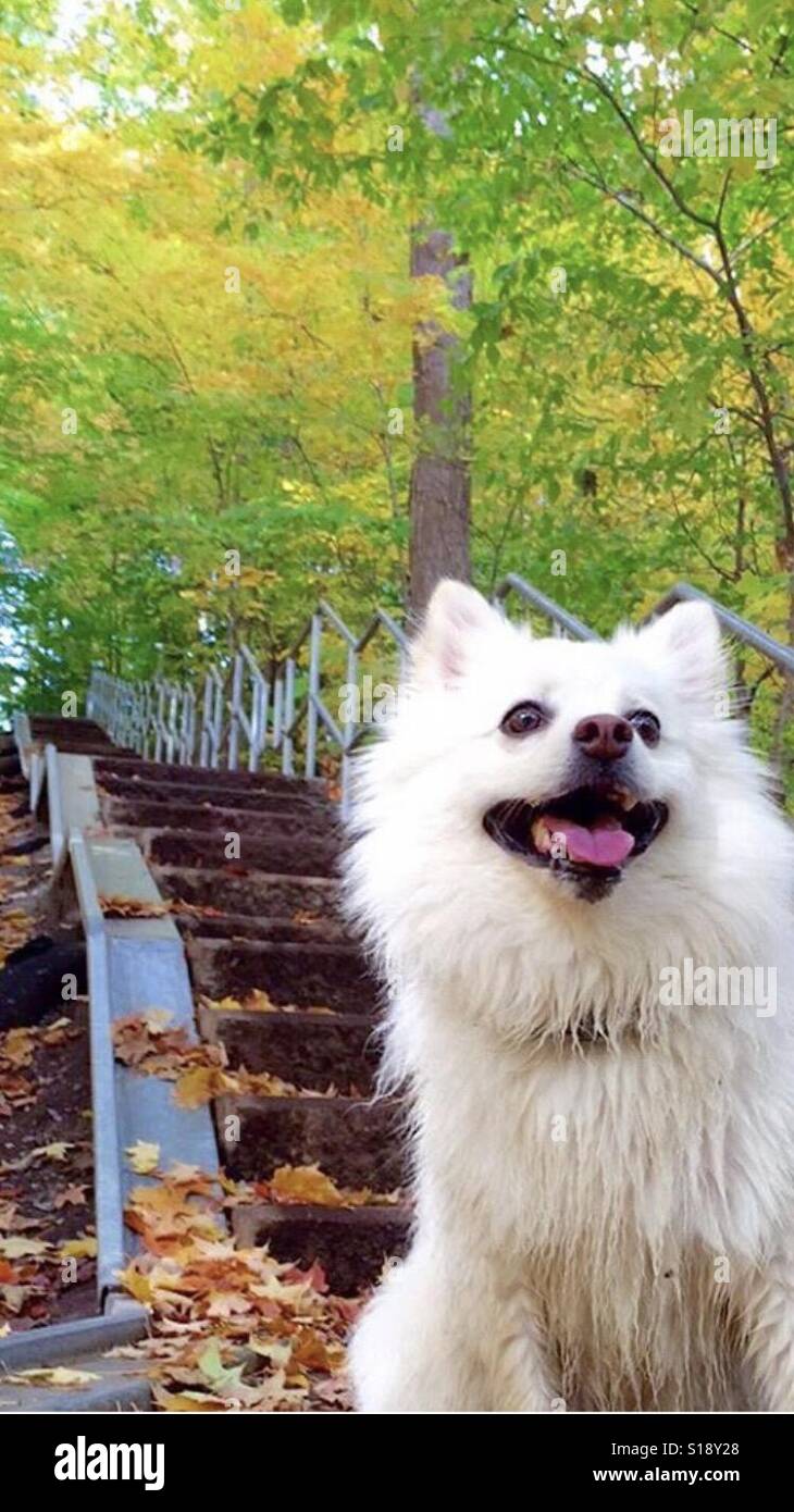 Cute treat hi-res stock photography and images - Alamy