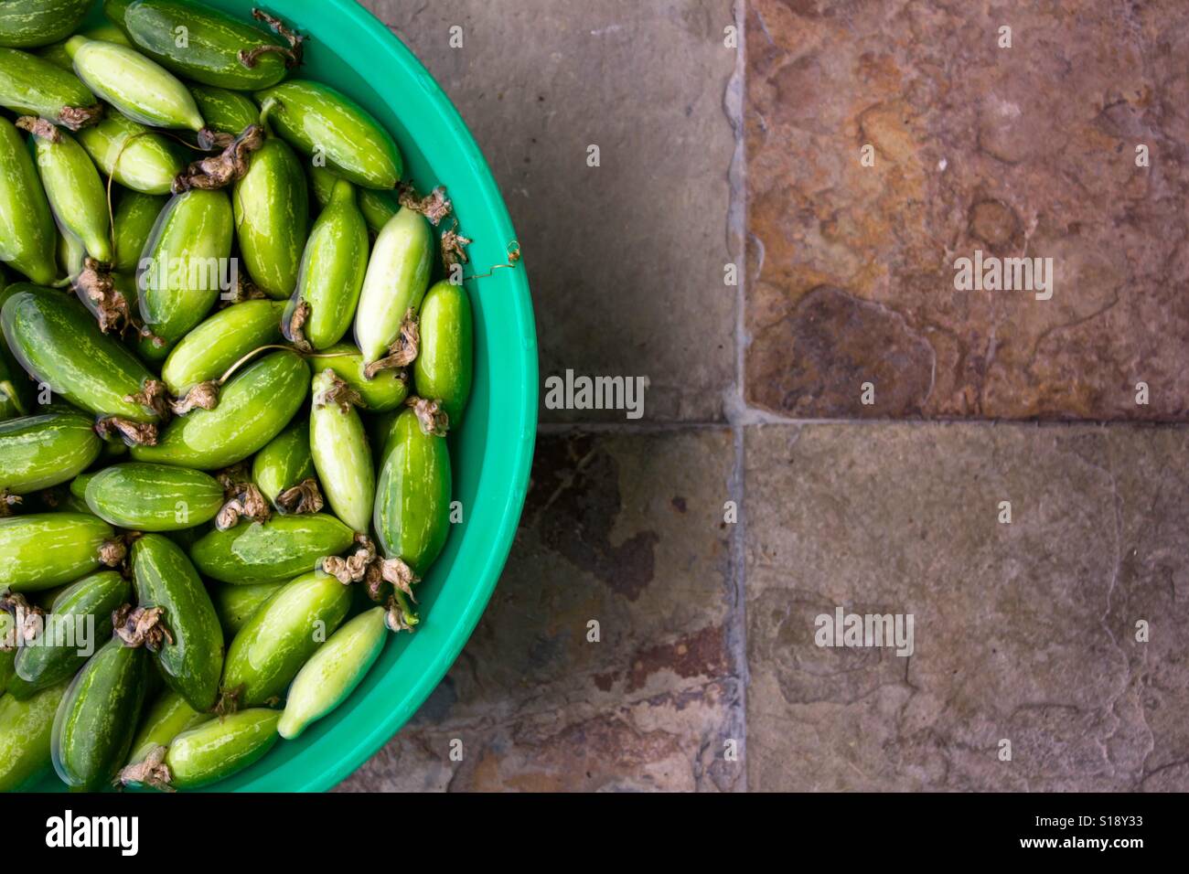 Top view of the Indian vegetable called tindly soaking in water Stock ...