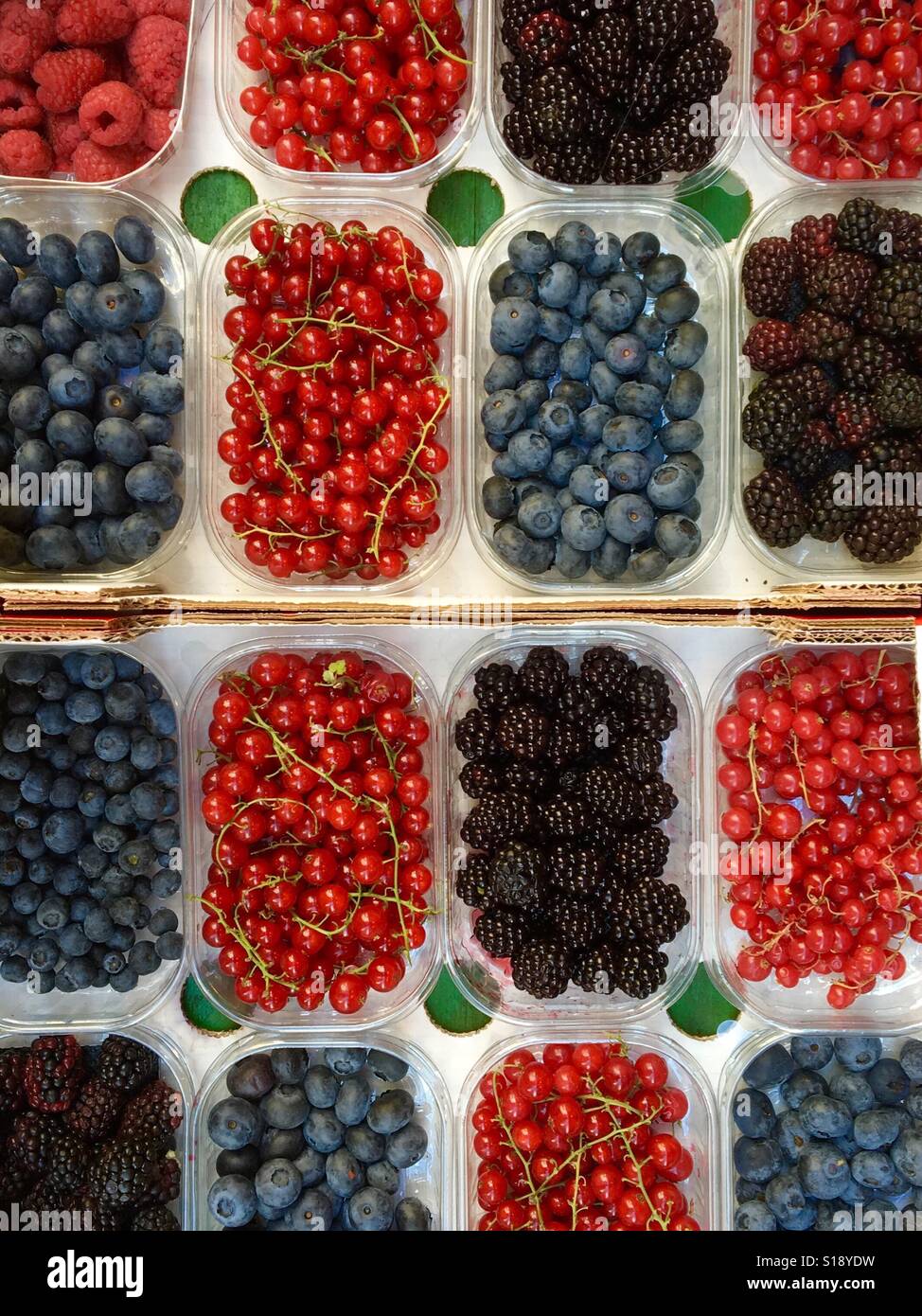 Mixed mediterranean forest hi-res stock photography and images - Alamy