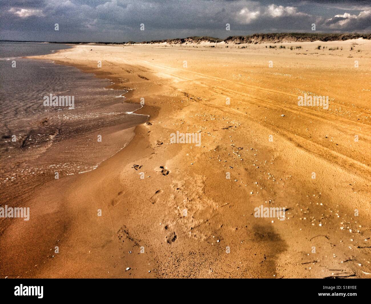 Sand beach in sweden hi-res stock photography and images - Alamy