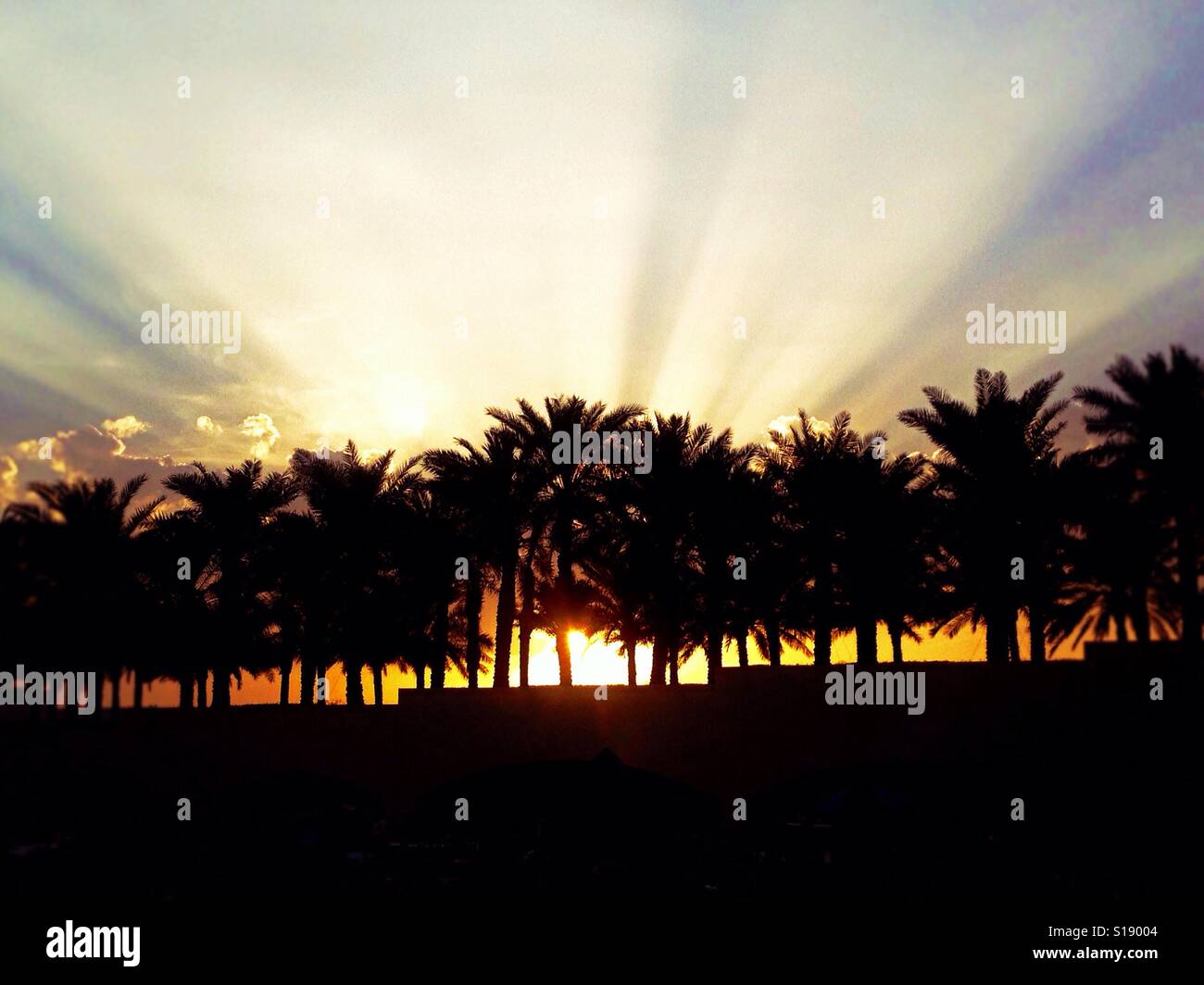 Clouds sun palm trees hi-res stock photography and images - Alamy