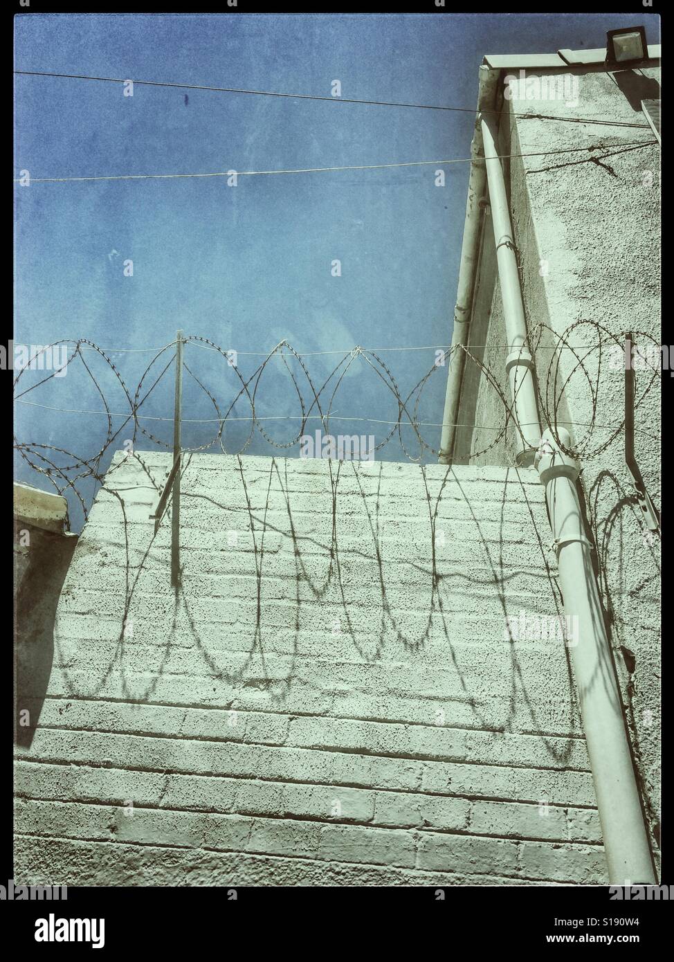 Barbed wire security on wall Stock Photo - Alamy