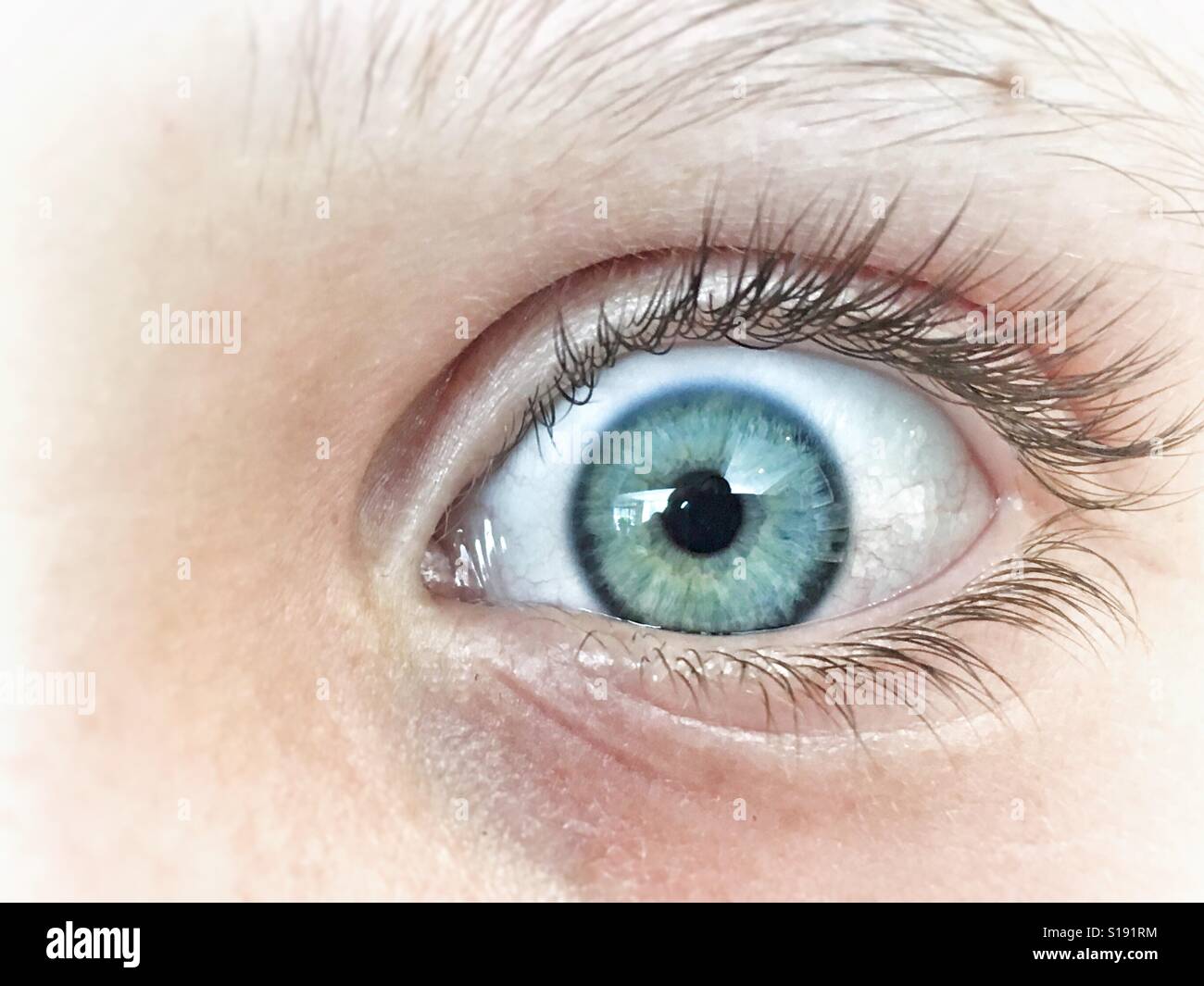 One human blue eye Stock Photo - Alamy