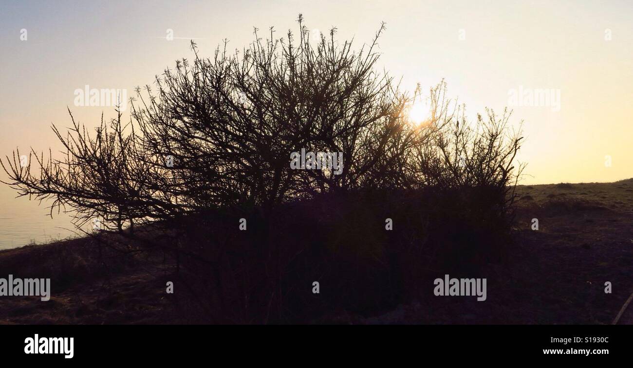 Sun light and sunset hi-res stock photography and images - Alamy