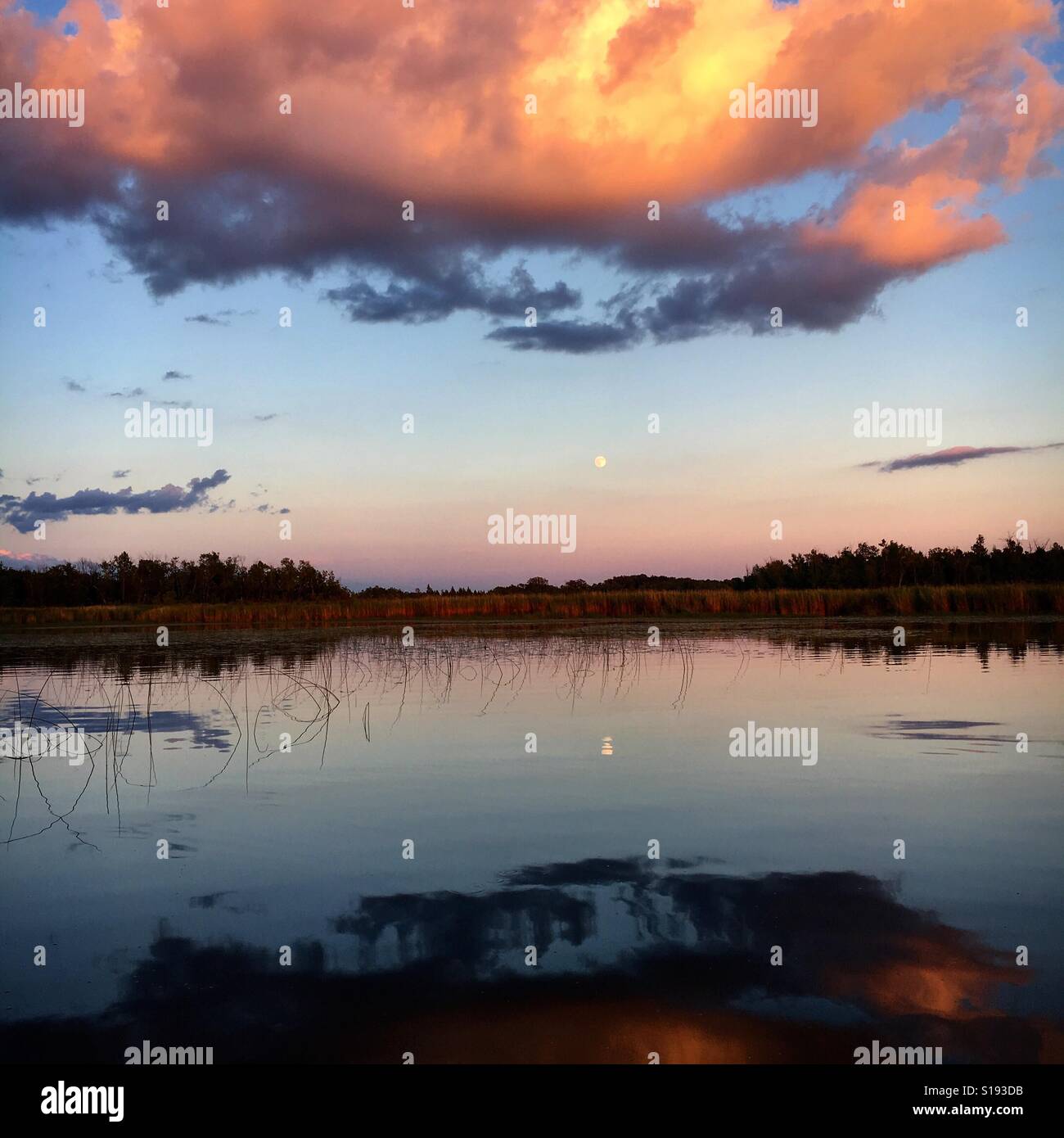 Moon rise hi-res stock photography and images - Alamy