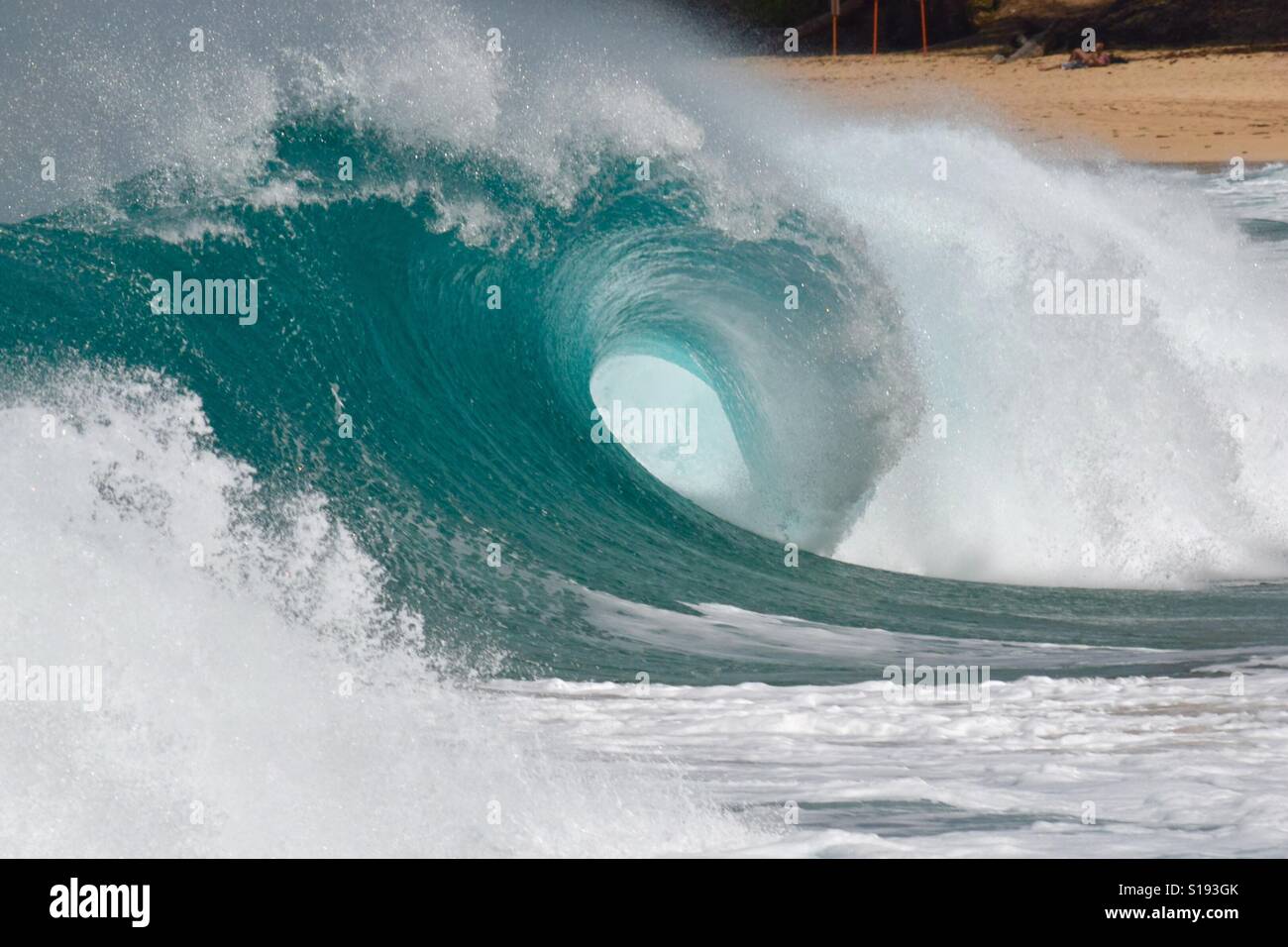 Wave in Hawaii Stock Photo - Alamy