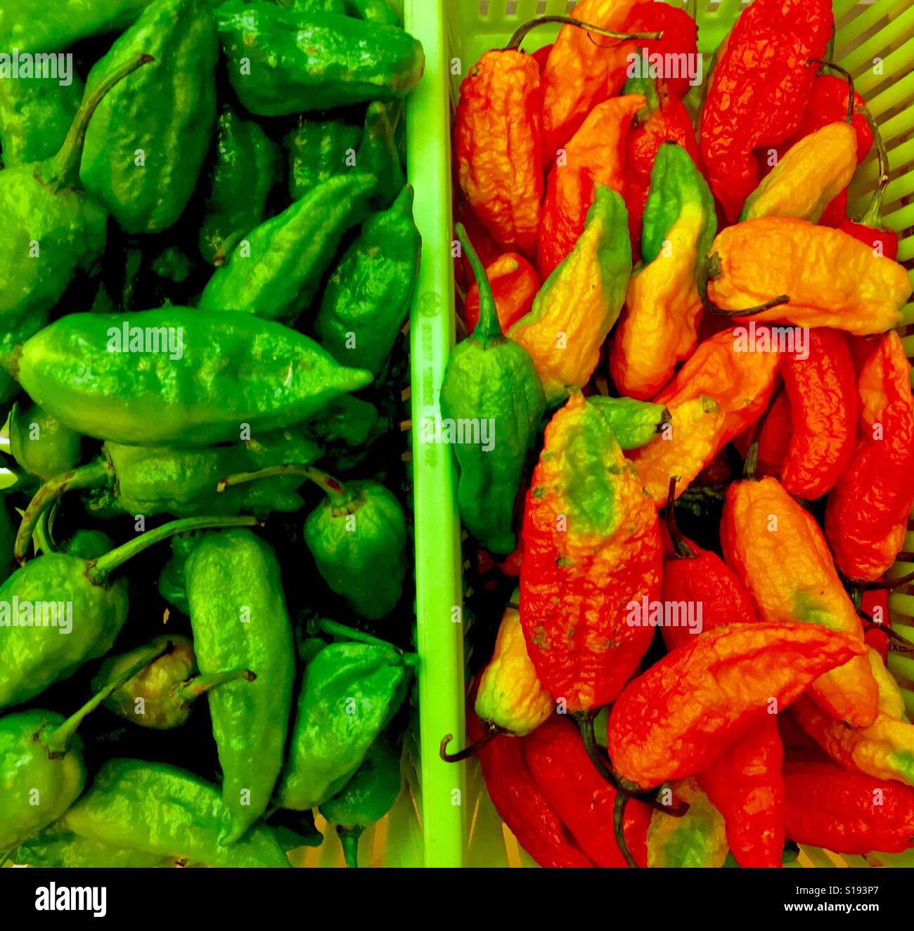 Myanmar green hi-res stock photography and images - Alamy