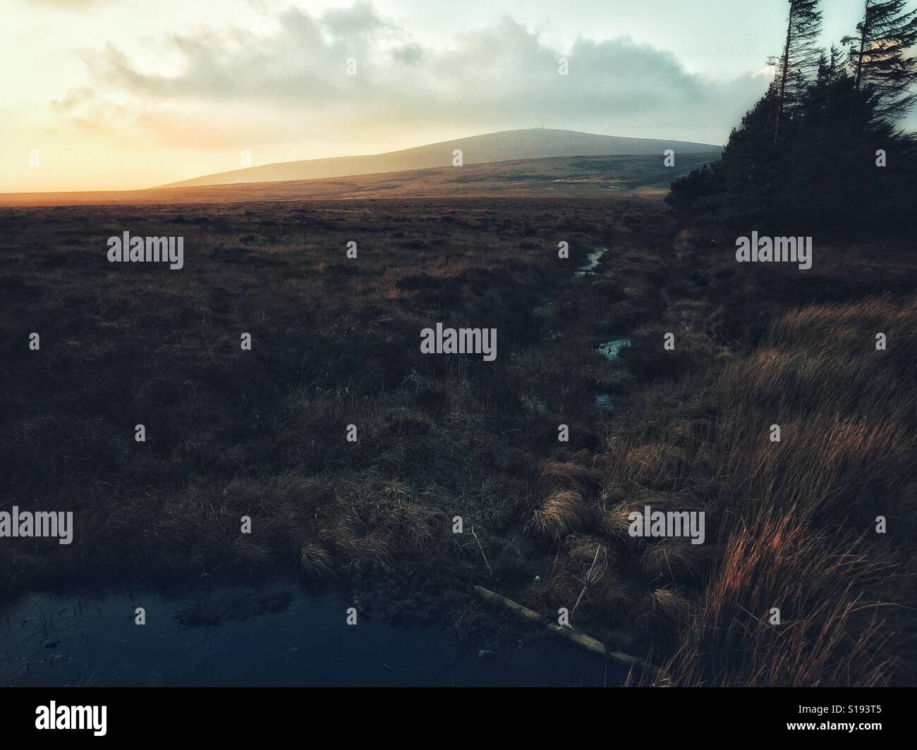 Beauty of mother nature hi-res stock photography and images - Alamy
