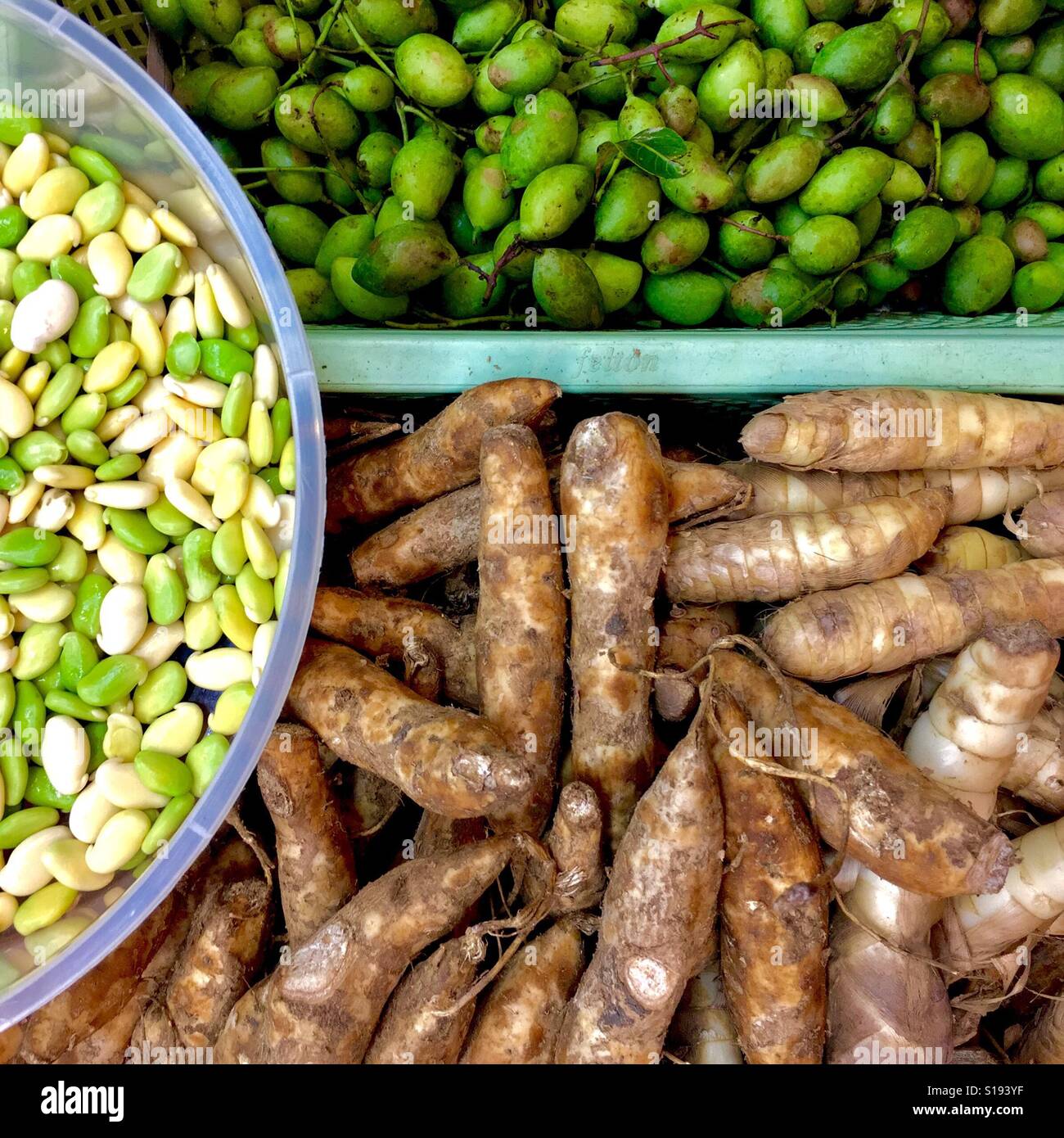 Burmese vegetables sparrow mango, pea and wild ginger Stock Photo - Alamy