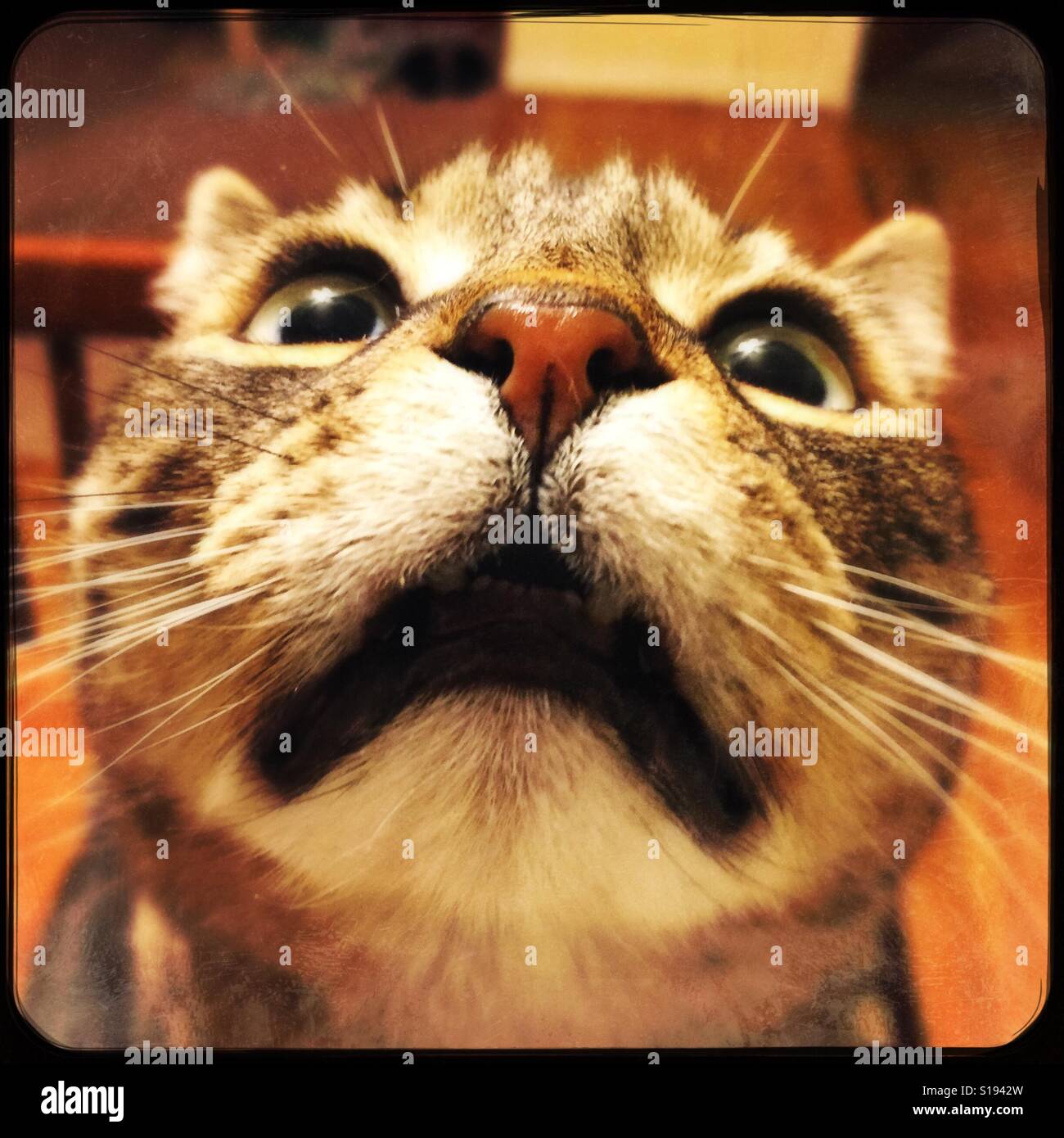 Monday Morning face Stock Photo - Alamy