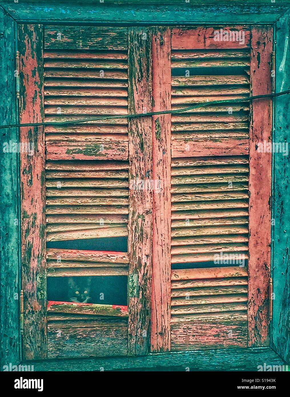 Observing through the window hi-res stock photography and images - Alamy