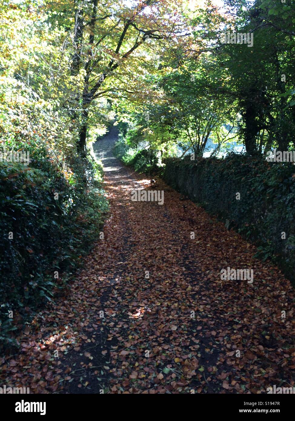 Heckley hi-res stock photography and images - Alamy