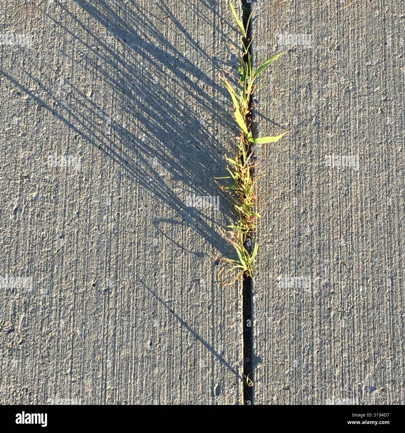 There is always a way hi-res stock photography and images - Alamy