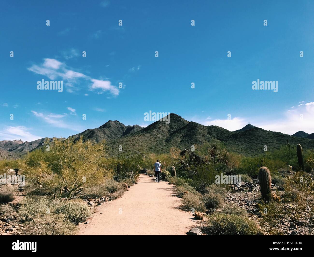 Camelback Mountains in Scottsdale Arizona Stock Photo - Alamy