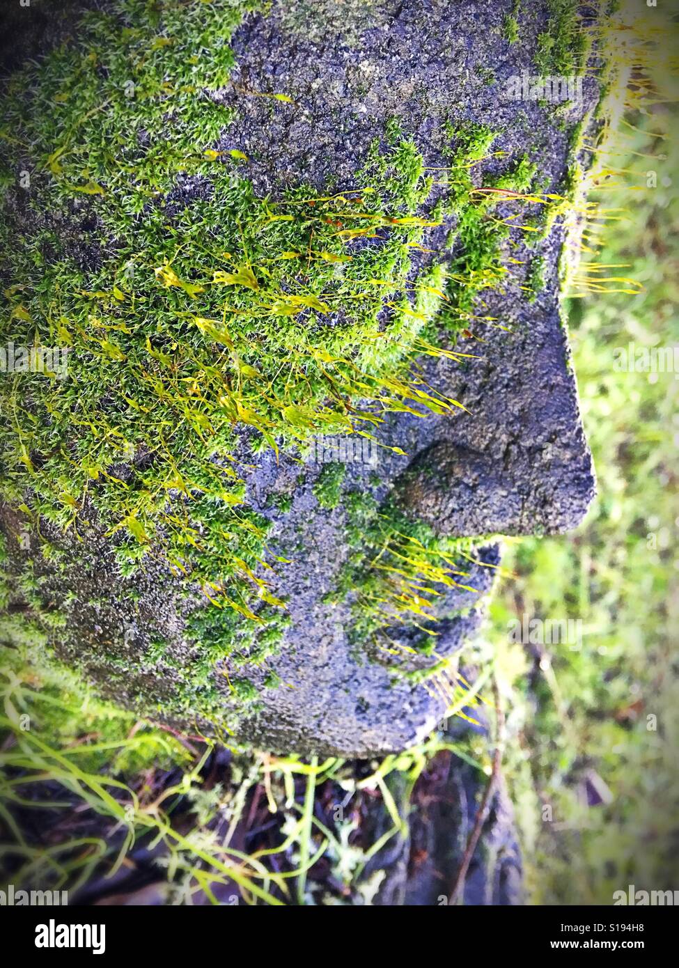 Moss on statue hi-res stock photography and images - Alamy