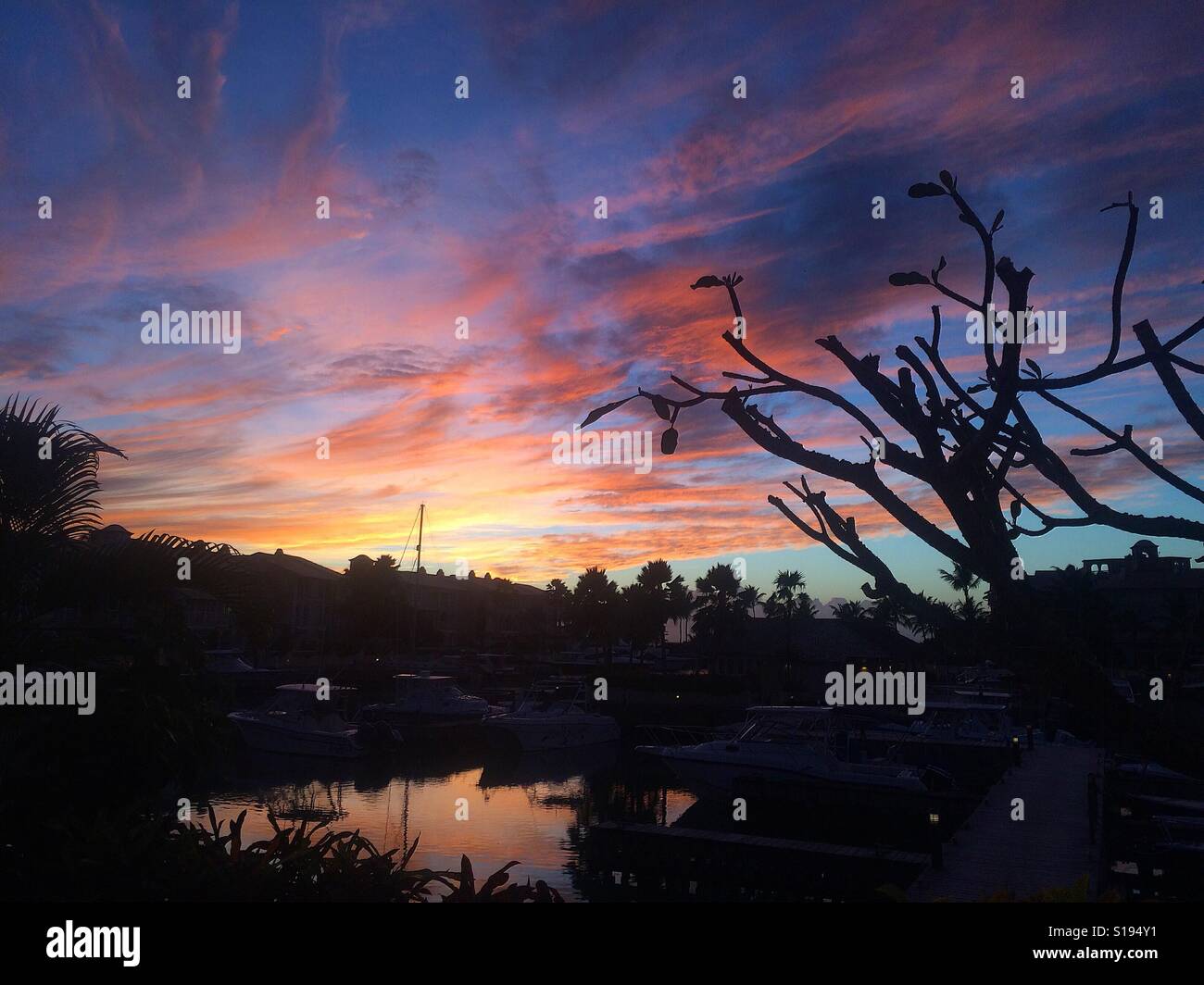 Bajan blue barbados hi-res stock photography and images - Alamy