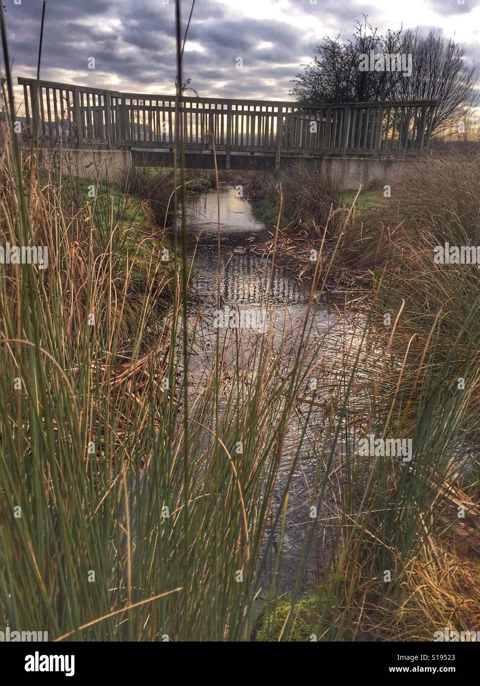 Trees under bridges hi-res stock photography and images - Alamy