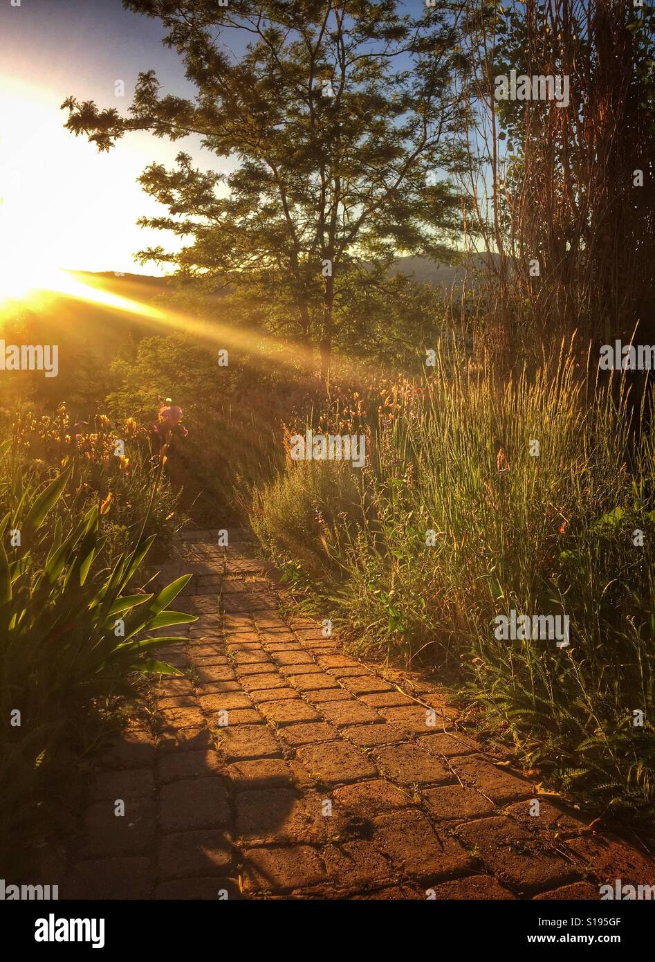 Sunlight path hi-res stock photography and images - Alamy