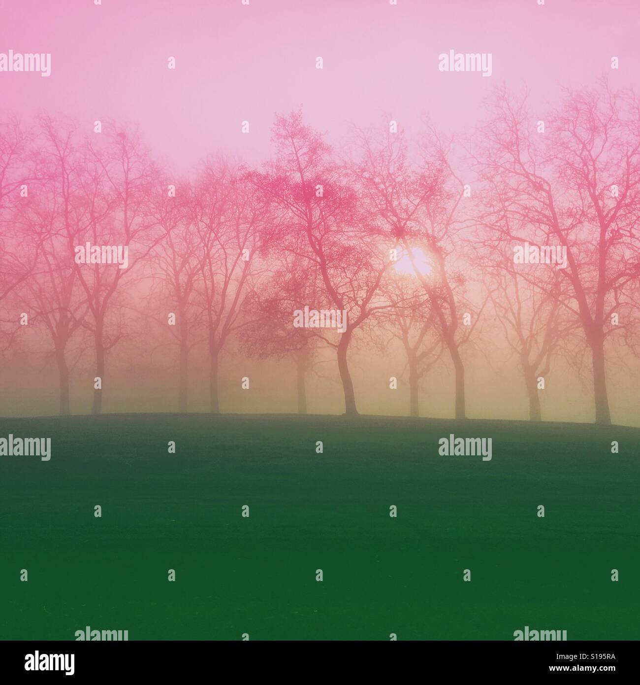 Misty red hi-res stock photography and images - Alamy