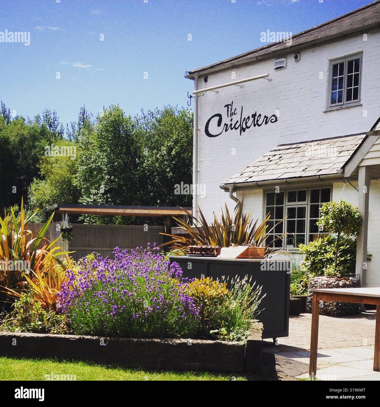 Cricketers Pub in Summertime Stock Photo - Alamy