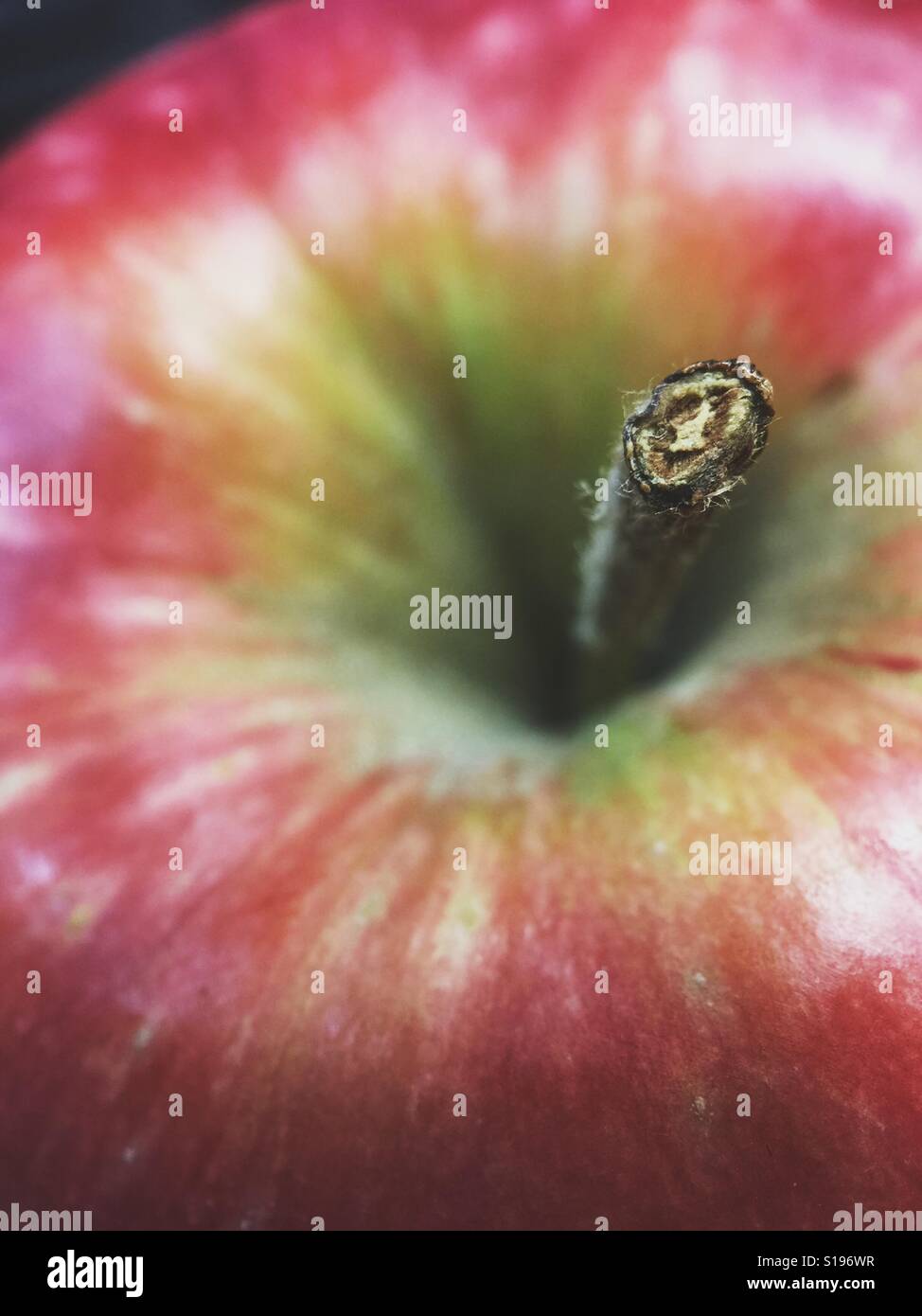 Red apple with stem hi-res stock photography and images - Alamy