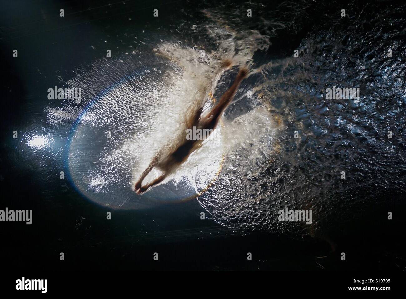 Dive into water splash hi-res stock photography and images - Alamy