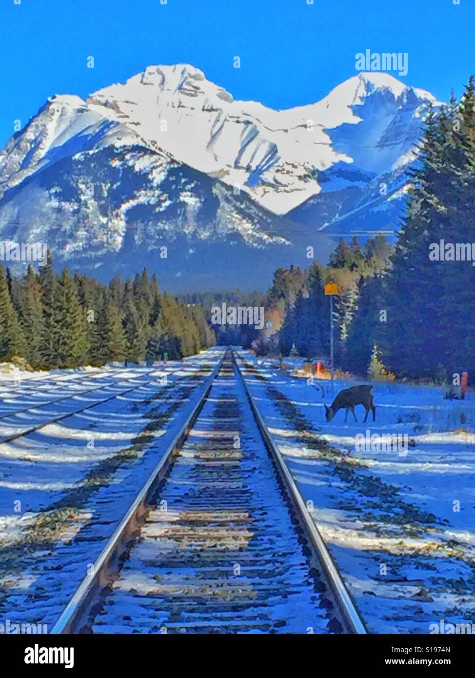 Railroad track and Cascade Mountain, Banff, Alberta, Canada Stock Photo ...