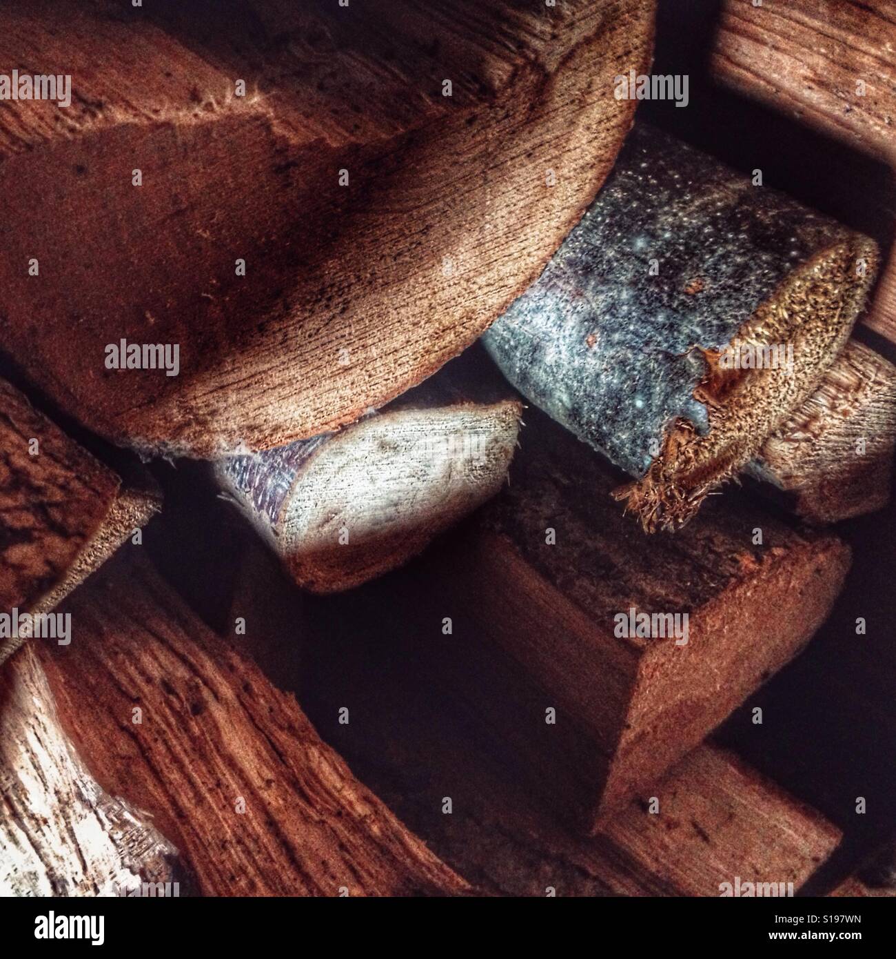 Light and grain hi-res stock photography and images - Alamy