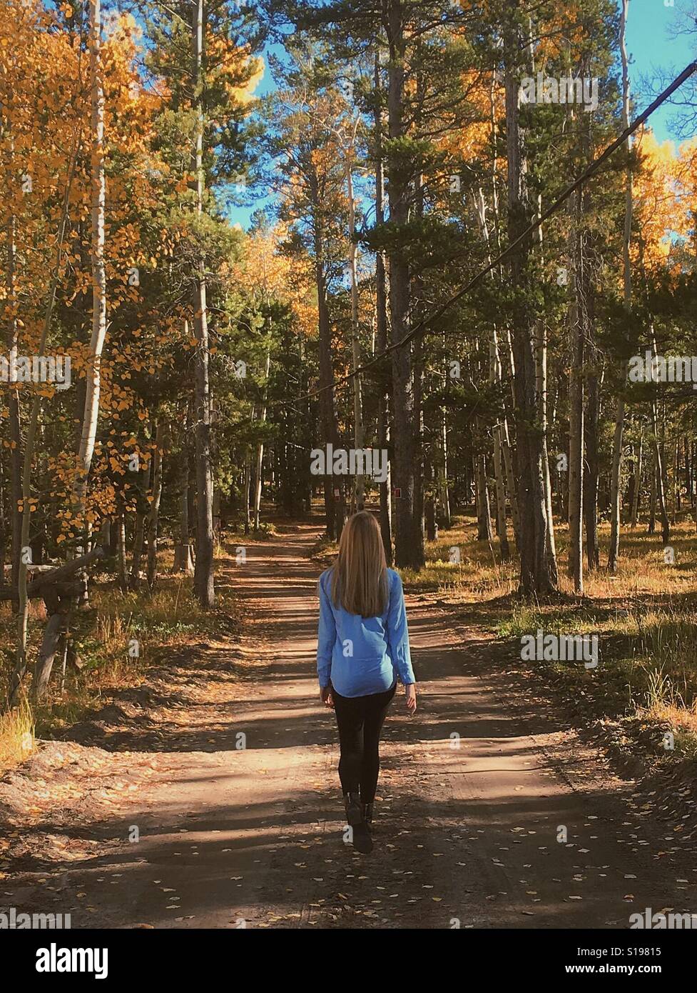 Nature walk among the color changing trees Stock Photo - Alamy