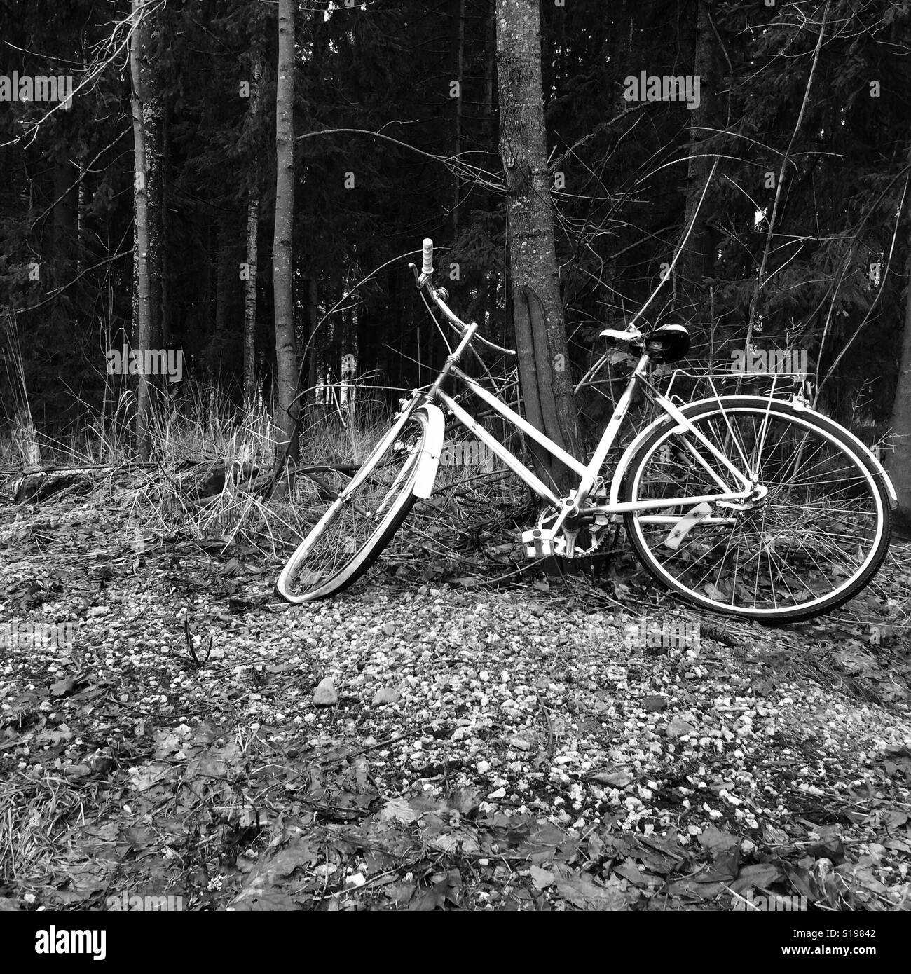 Bike into tree Black and White Stock Photos & Images - Alamy