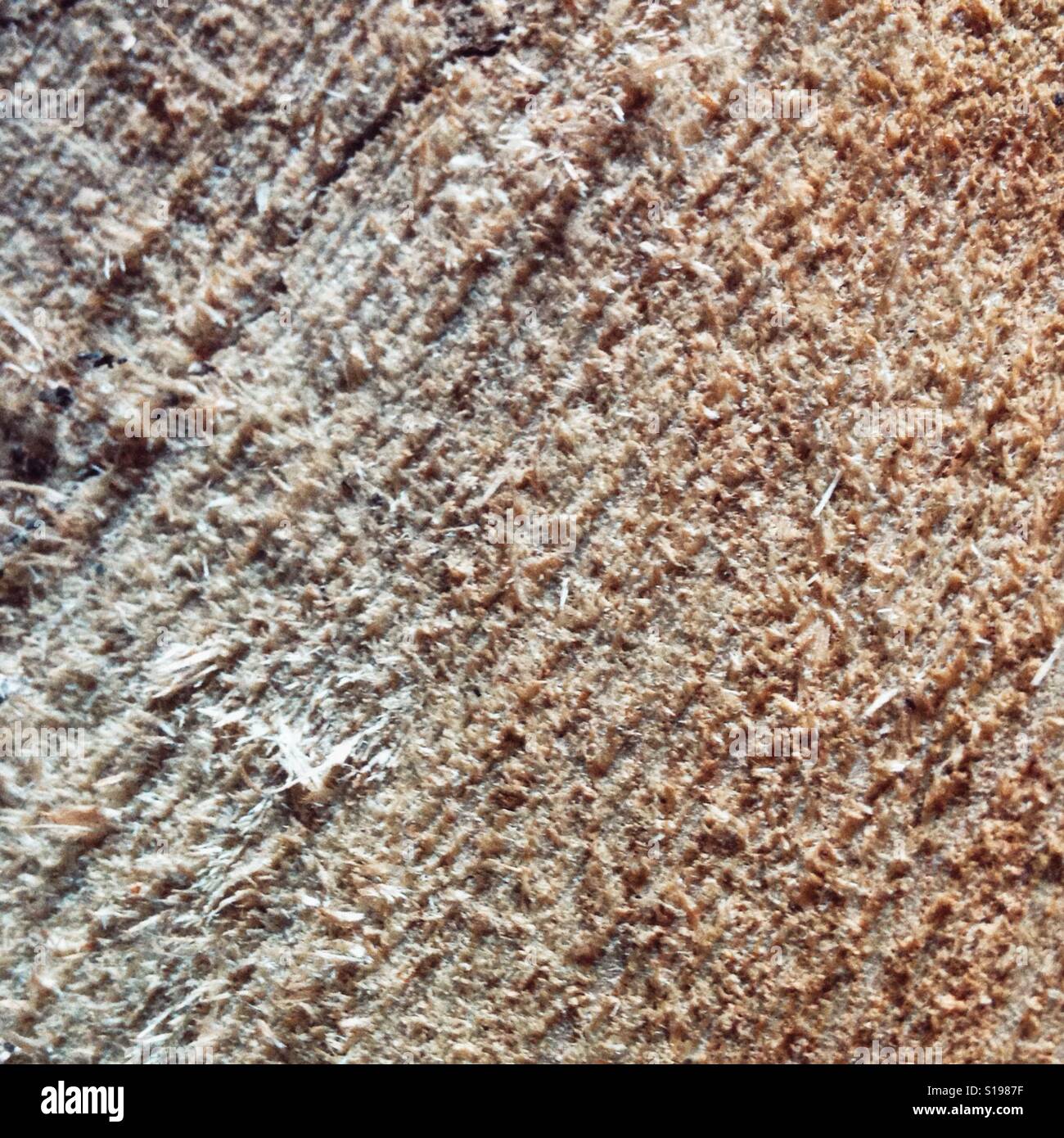 Wood splinter hi-res stock photography and images - Alamy