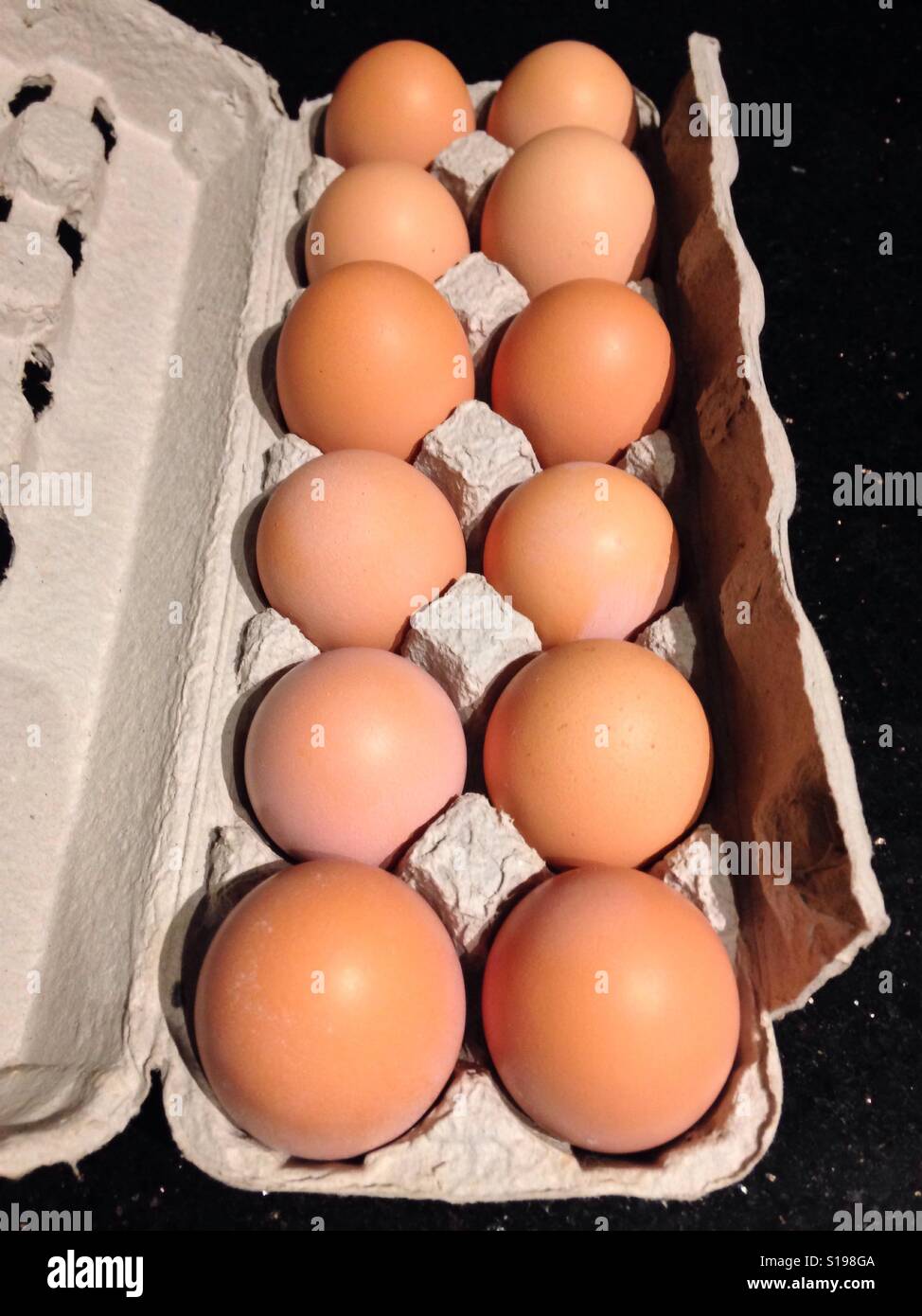 Farm raised organic eggs Stock Photo - Alamy