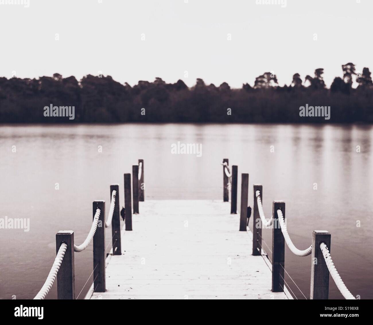 Bridge out to water Stock Photo - Alamy
