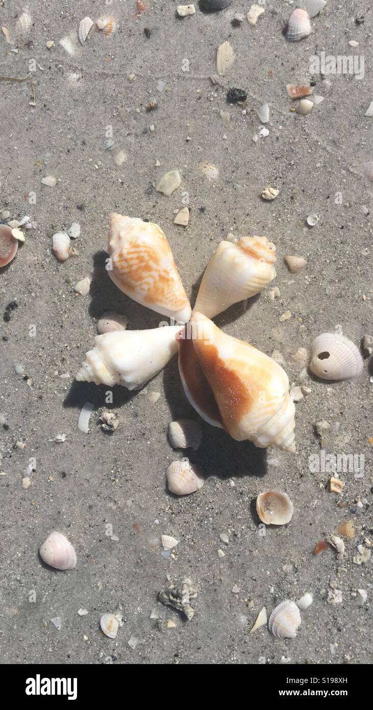 Shell cross hi-res stock photography and images - Alamy