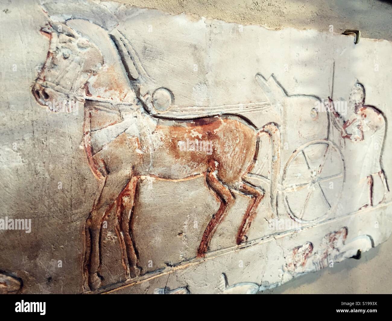 Horse relief hi-res stock photography and images - Alamy