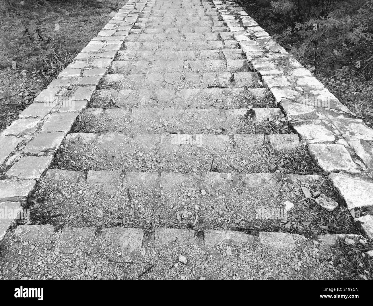 steps black and white photography Stock Photo - Alamy