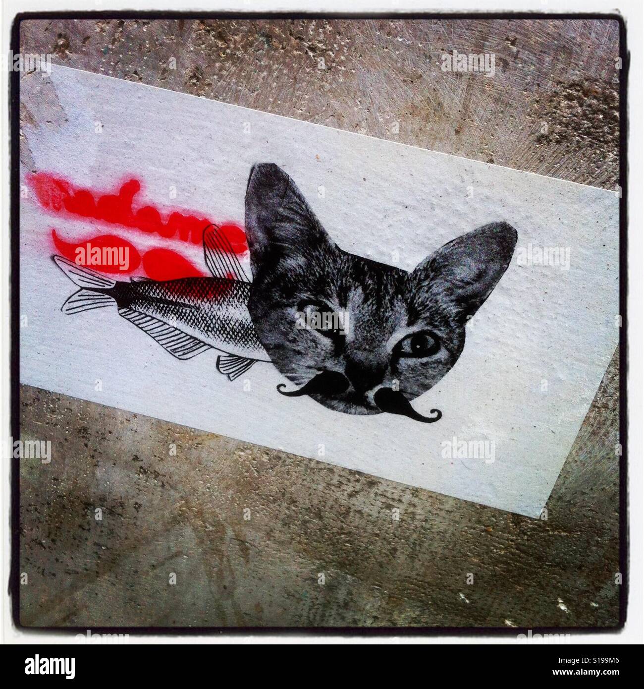 Catfish France High Resolution Stock Photography and Images - Alamy