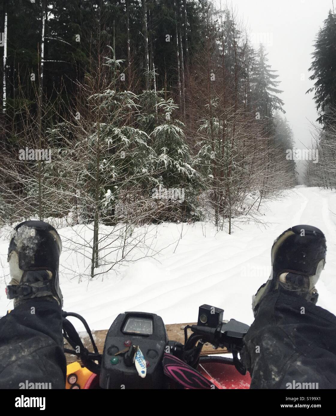 Recreational paradise hi-res stock photography and images - Alamy