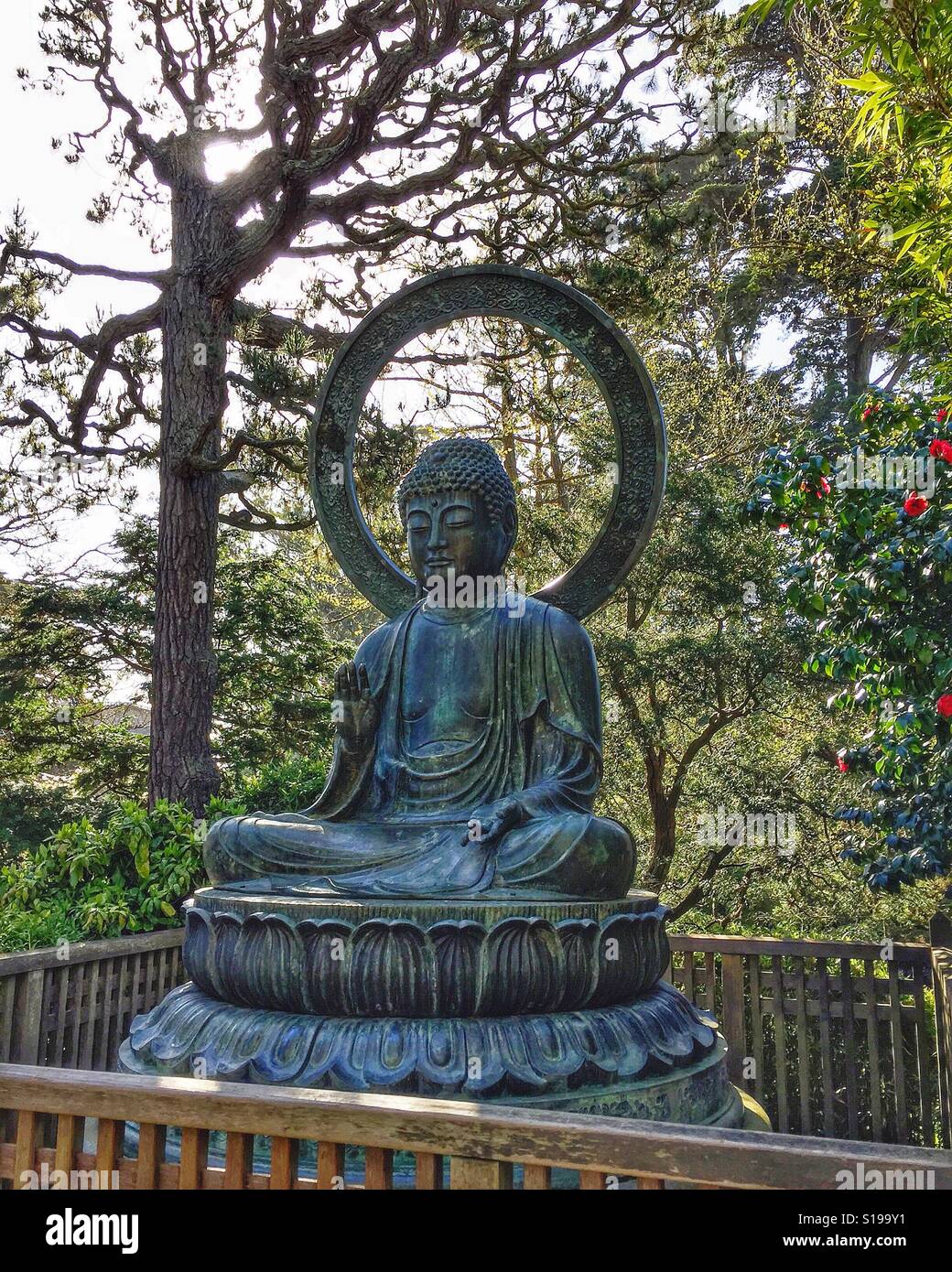 Buddha sun hi-res stock photography and images - Alamy